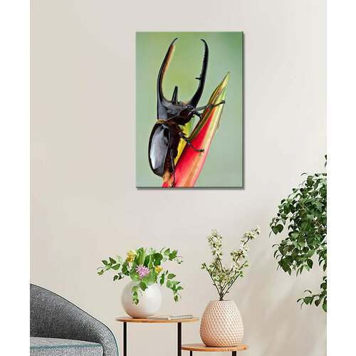 Картина - жук-геркулес, жук, крупный жук, природа, макро (2) 30х40