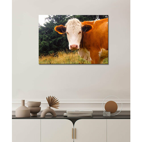 Картина - Корова, пастбище, корова пасется, корова на пастбище, бык (28) 60х80