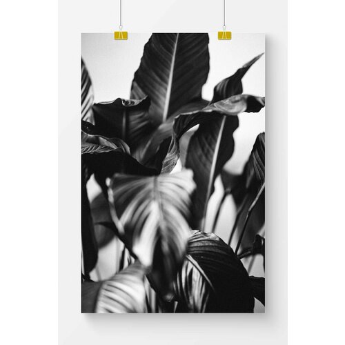 Постер для интерьера Postermarkt, 40х50 см в тубусе, постер Черно-белый #37