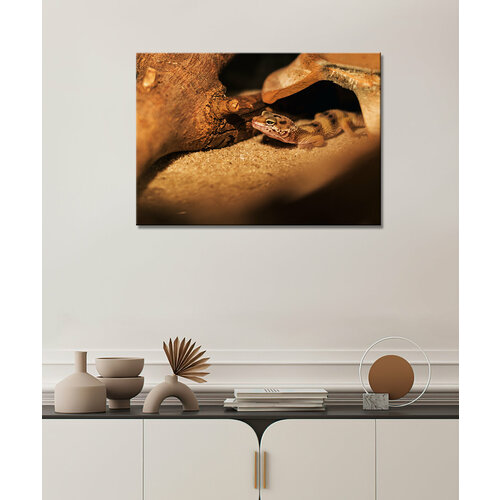 Картина -Геккон, ящерица (15) 40х60