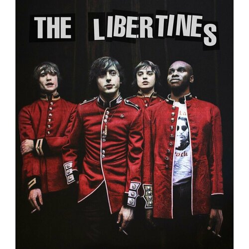 Плакат, постер на бумаге The Libertines/Либертайнс. Размер 42 х 60 см