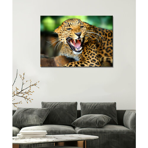 Картина/Ягур/Ягуар в джунглях/Ягуар на дереве/Черный ягуар/ - Ягуар (48) 20х30