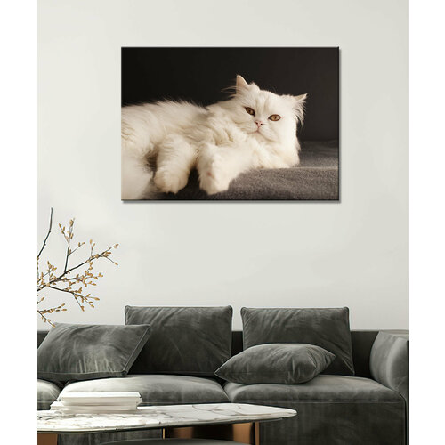 Картина - кошка, персидская кошка, домашняя кошка, ласковая кошка, кот (303) 20х30