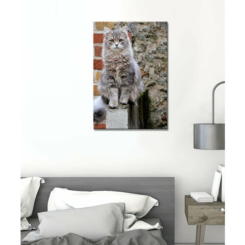 Картина - кошка, сибирская кошка, домашняя кошка, ласковая кошка, полудлинношёрстная кошка, кот (119) 60х80