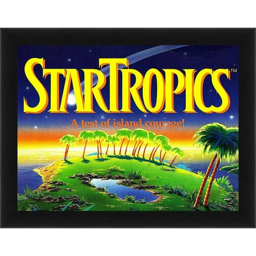 Плакат, постер на холсте Star Tropics. Размер 60х84 см