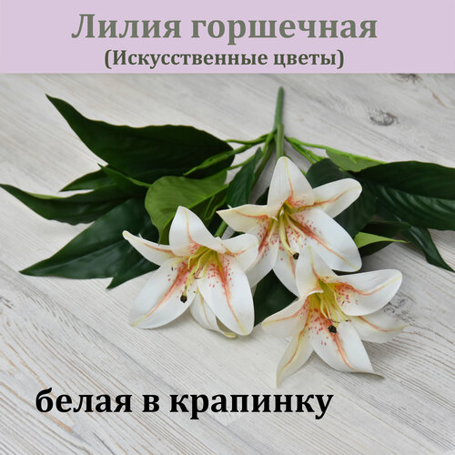 Куст горшечной Лилии белый / Растение для декора / Реалистичный искусственный цветок