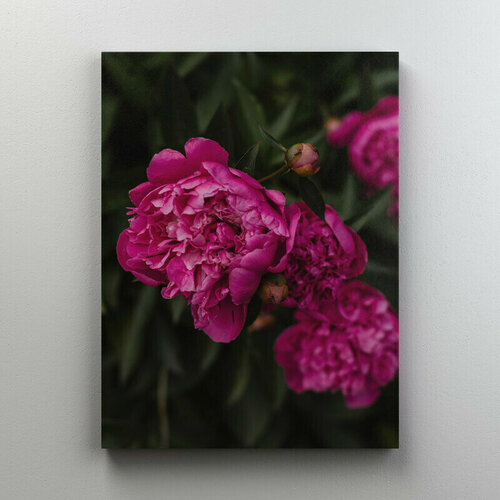 Интерьерная картина на холсте "Садовые цветы - пион" размер 22x30 см