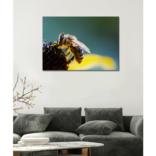 Картина/Пчела/Пчелы/Пчела на цветке/Пчела вблизи/Пчелакрупным планом/ - Пчела (2) 20х30