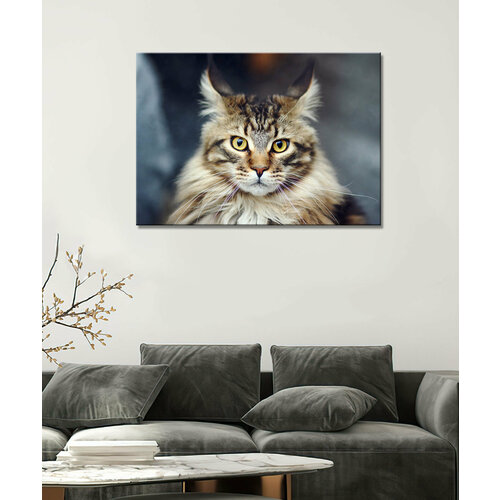 Картина - кошка, мейн-кун, домашняя кошка, ласковая кошка, кот (274) 20х30