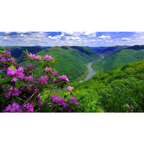 Картина на холсте 60x110 Альянс Лес "Река природа горы цветы" на подрамнике / интерьер/ декор