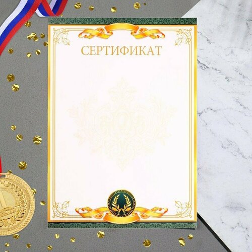 Сертификат, золотая рамка, бумага, А4 (комплект из 80 шт)