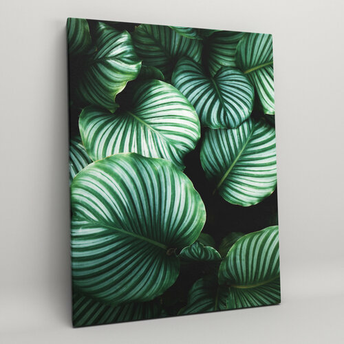 Картина на холсте (интерьерный постер) "Растения в джунглях" в скандинавском стиле, с деревянным подрамником, размер 45x60 см
