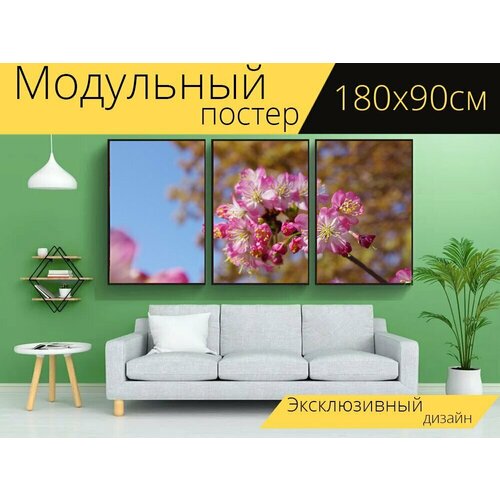 Модульный постер "Сакура, цветок, весна" 180 x 90 см. для интерьера