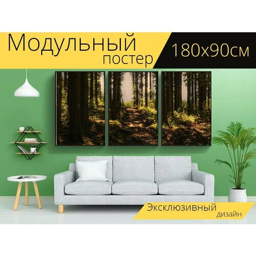 Модульный постер "Деревья, лес, лесная тропа" 180 x 90 см. для интерьера