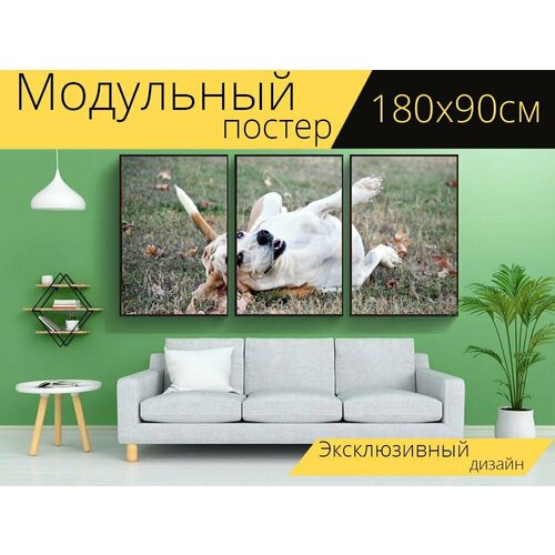 Модульный постер "Бассет, гончая, собака" 180 x 90 см. для интерьера