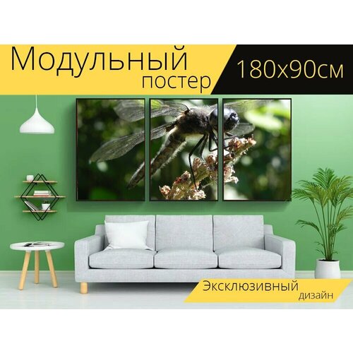 Модульный постер "Стрекоза, насекомое, крылья" 180 x 90 см. для интерьера