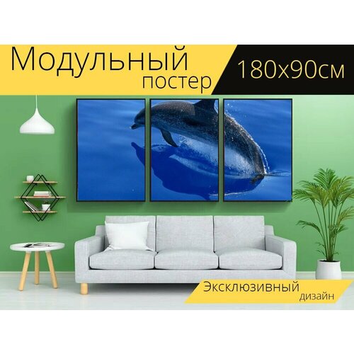 Модульный постер "Дельфин, море, морские млекопитающие" 180 x 90 см. для интерьера