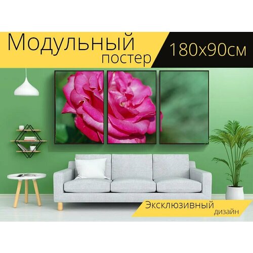 Модульный постер "Роза, розовый, не замужем" 180 x 90 см. для интерьера