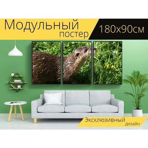 Модульный постер "Выдра, животные, шерсть" 180 x 90 см. для интерьера