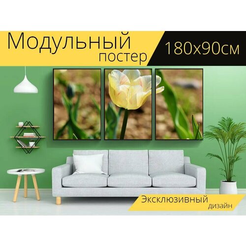 Модульный постер "Тюльпан, цвести, срезанный цветок" 180 x 90 см. для интерьера