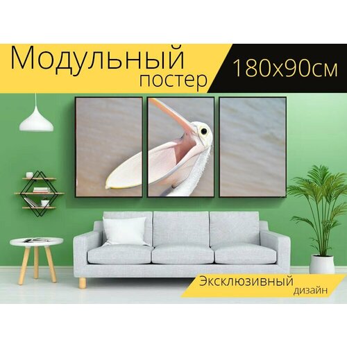 Модульный постер "Пеликан, птица, море" 180 x 90 см. для интерьера