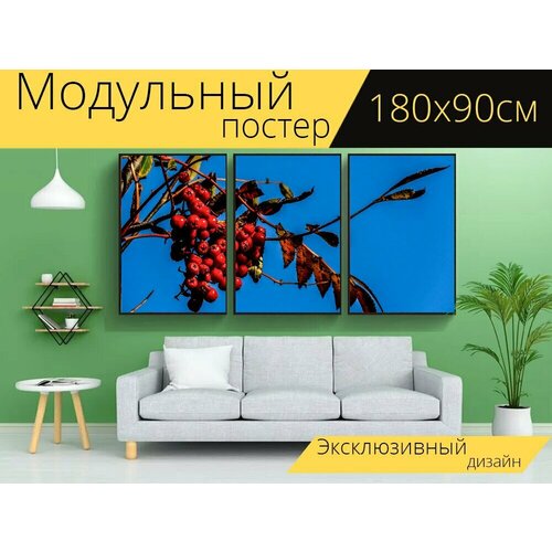 Модульный постер "Рябина, осень, падение" 180 x 90 см. для интерьера