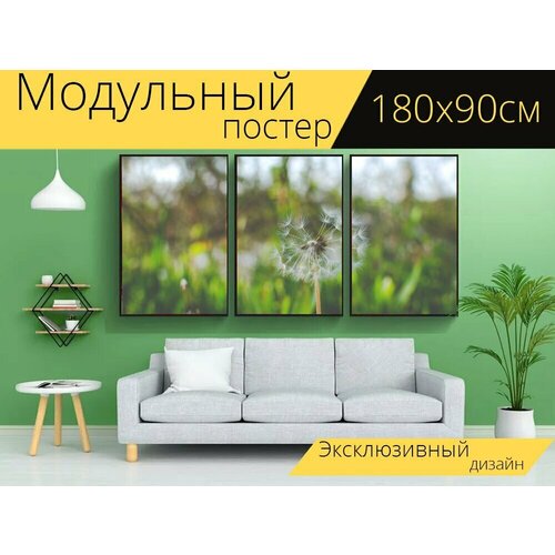 Модульный постер "Одуванчик, цветок, природа" 180 x 90 см. для интерьера