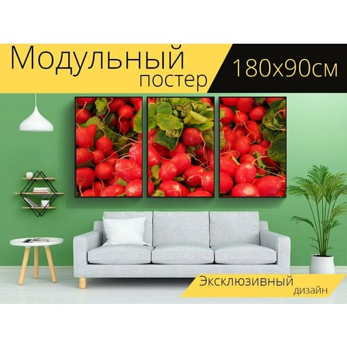 Модульный постер "Редис, красный, овощи" 180 x 90 см. для интерьера