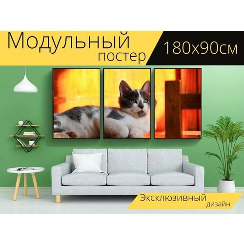 Модульный постер "Кот, кошачий, кошки" 180 x 90 см. для интерьера