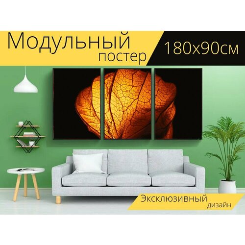 Модульный постер "Физалис, капсула крыжовника, фрукты" 180 x 90 см. для интерьера