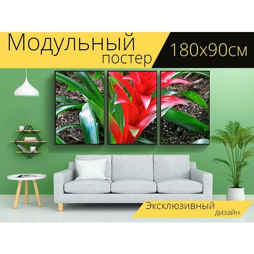 Модульный постер "Бромелия, красный, цветок" 180 x 90 см. для интерьера