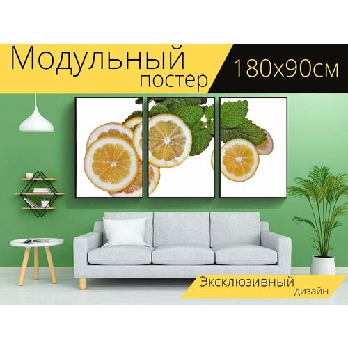 Модульный постер "Лимоны, цитрусовые, фрукты" 180 x 90 см. для интерьера