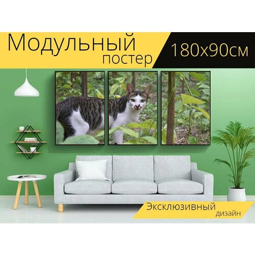 Модульный постер "Кошка, животное, дикая кошка" 180 x 90 см. для интерьера