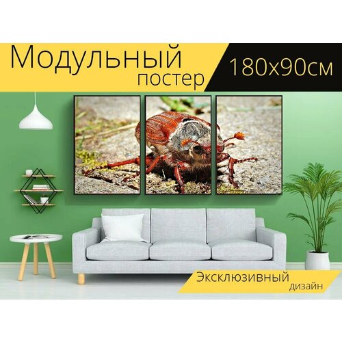 Модульный постер "Майский жук, макрос, крупным планом" 180 x 90 см. для интерьера
