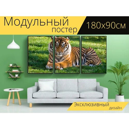Модульный постер "Тигр, остальные, животное" 180 x 90 см. для интерьера
