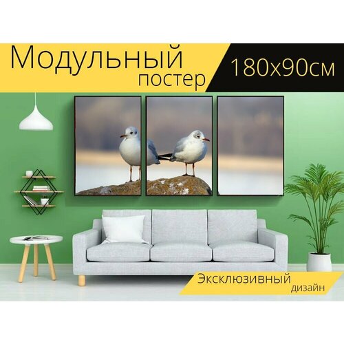 Модульный постер "Чайки, птицы, животные" 180 x 90 см. для интерьера
