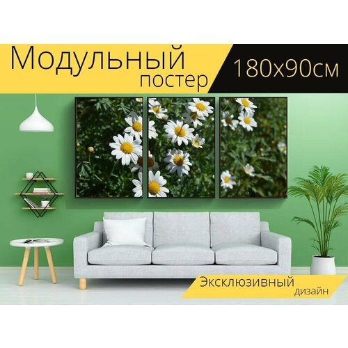 Модульный постер "Маргаритка, цветок, белый" 180 x 90 см. для интерьера