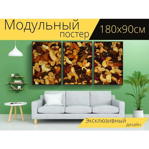 Модульный постер "Студенческая лента, орехи, изюм" 180 x 90 см. для интерьера