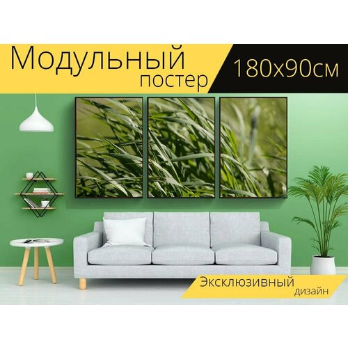 Модульный постер "Трава, зеленый, зеленая трава" 180 x 90 см. для интерьера