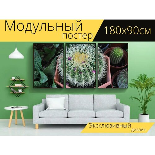 Модульный постер "Кактус, завод, кактусы" 180 x 90 см. для интерьера