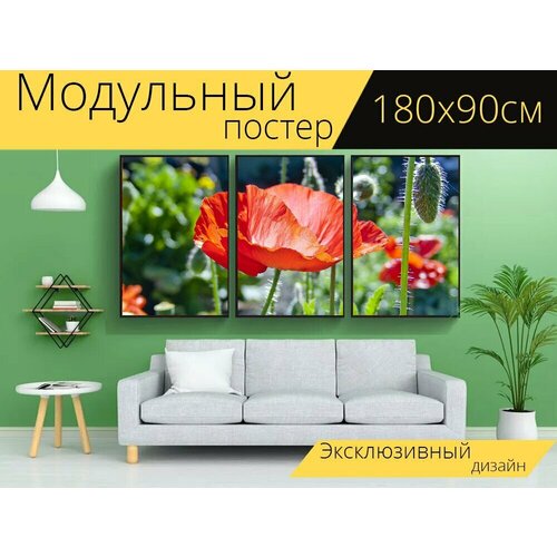 Модульный постер "Мак, красный цветок, природа" 180 x 90 см. для интерьера