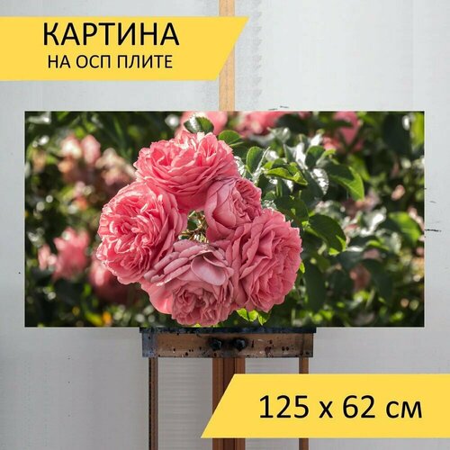 Картина на ОСП 125х62 см. "Цветок, розы, розовый куст" горизонтальная, для интерьера, с креплениями