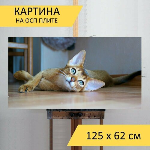 Картина на ОСП 125х62 см. "Абиссинские котята, абиссинская кошка, абиссинский котенок" горизонтальная, для интерьера, с креплениями