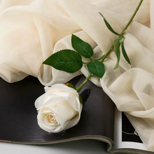 Цветы искусственные "Роза Карина" 7х56 см, белый 9369544