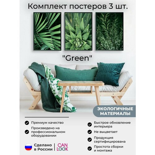 Постеры для интерьера "Green. Зеленые листья", постеры на стену 50х70 см, 3 шт.