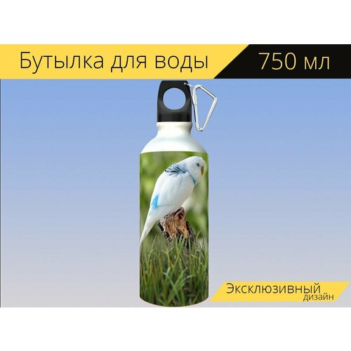 Бутылка фляга для воды "Птица, попугай, волнистый попугайчик" 750 мл. с карабином и принтом