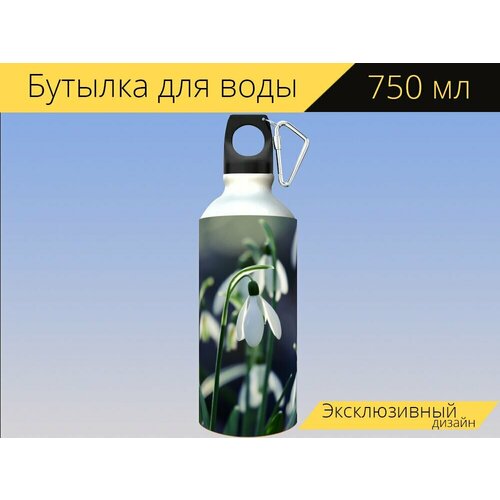 Бутылка фляга для воды "Подснежник, цветок, завод" 750 мл. с карабином и принтом