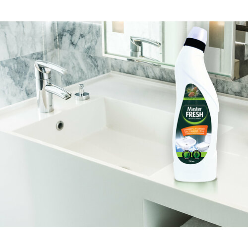 Универсальный концентрированный гель аромат Хвойная свежесть 750г Master FRESH для ванны и туалета