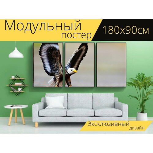 Модульный постер "Орел, хищник, фигура" 180 x 90 см. для интерьера