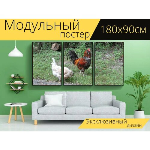 Модульный постер "Петух, петушок, курица" 180 x 90 см. для интерьера